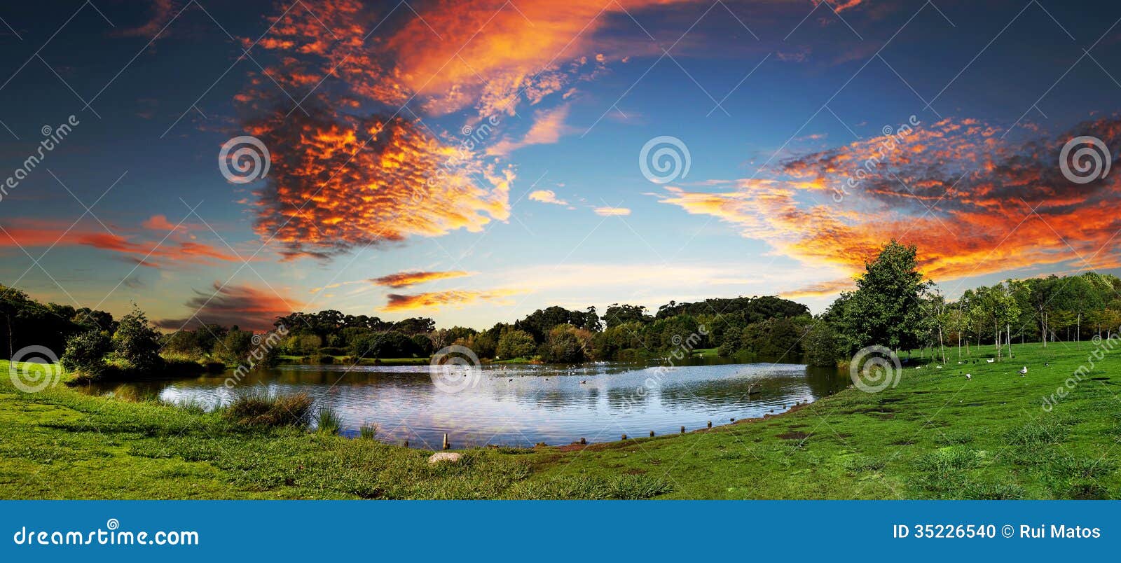 Por do sol no parque foto de stock. Imagem de queimadura - 35226540