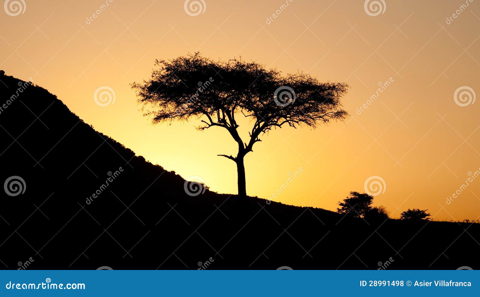 Por Do Sol No Savana Africano Foto de Stock - Imagem de masai, africano ...