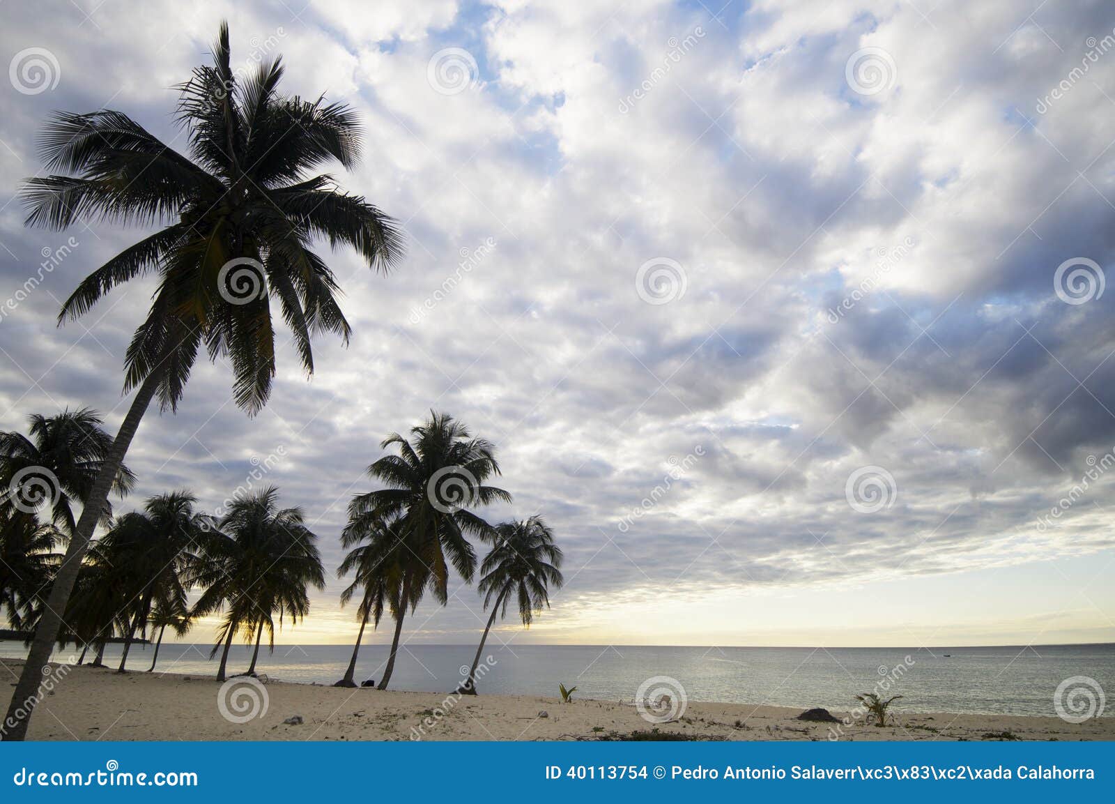 Por do sol tropical foto de stock. Imagem de romântico - 40113754