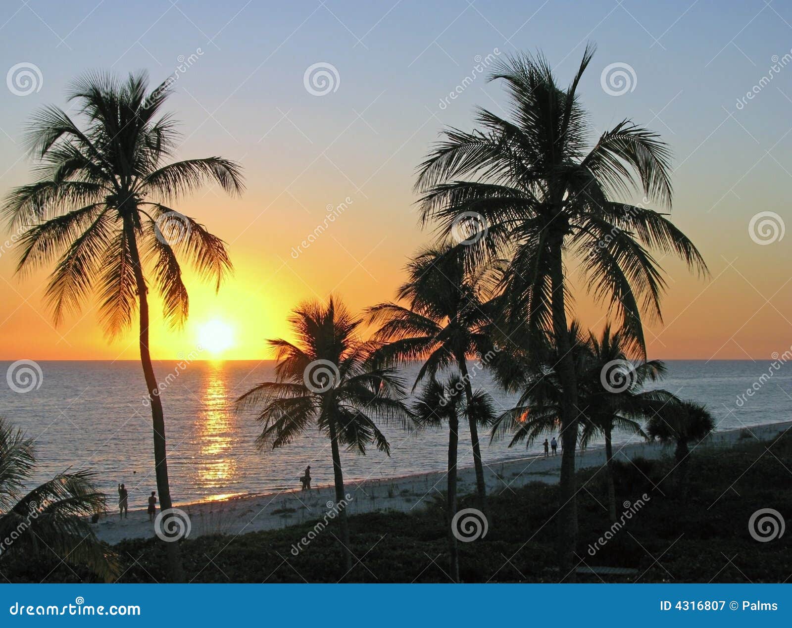 Por do sol tropical imagem de stock. Imagem de calmo, silêncio - 4316807