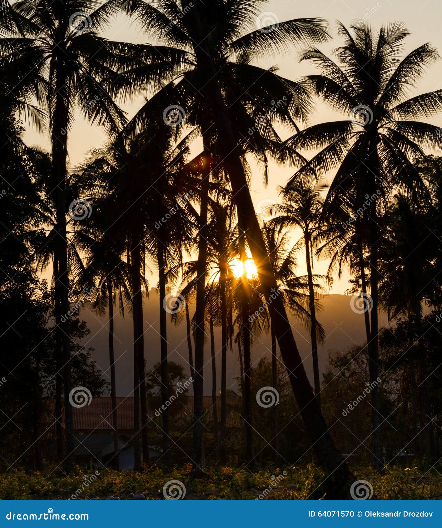 Por do sol tropical foto de stock. Imagem de casa, console - 64071570