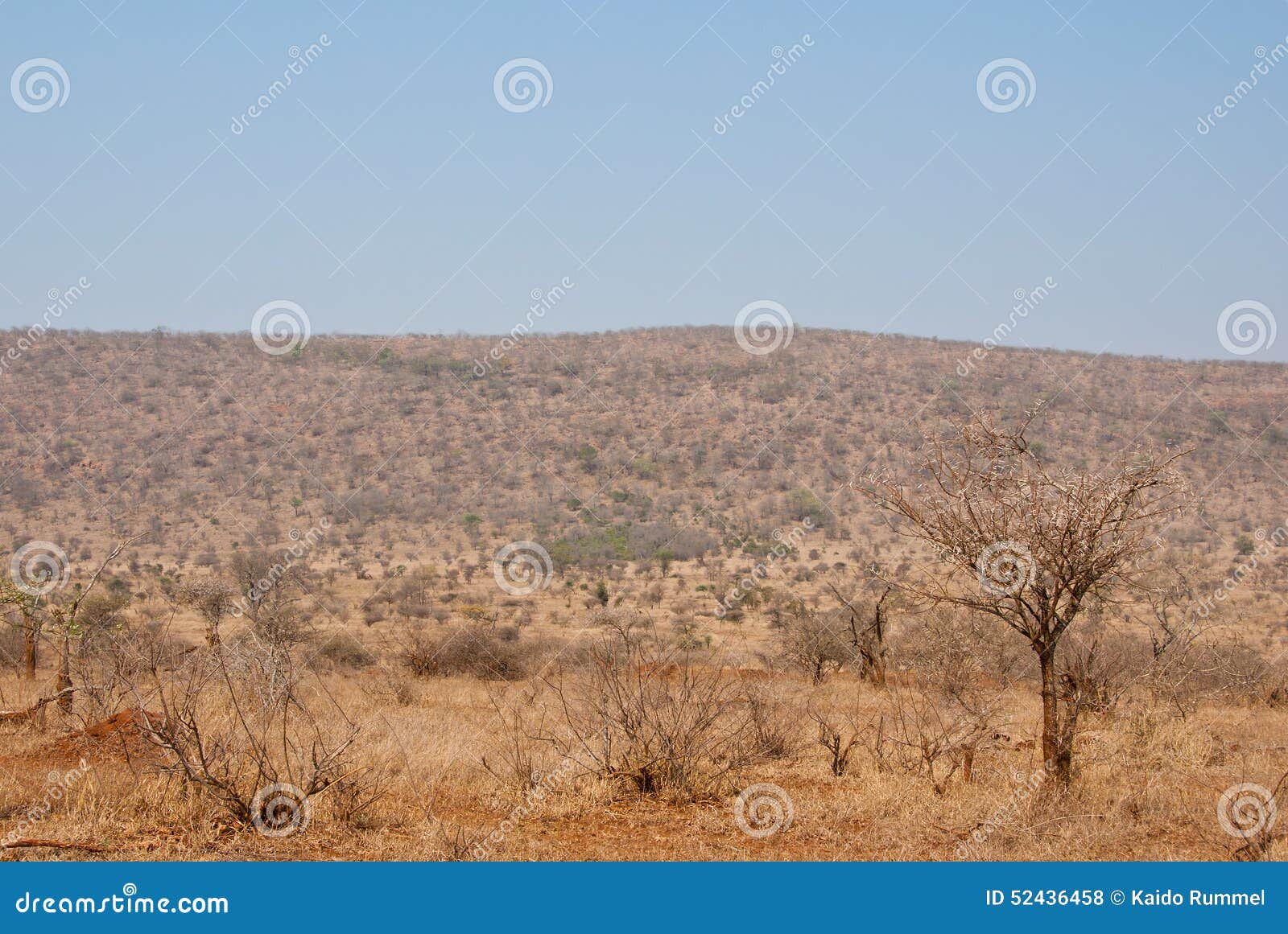 Pora sucha zdjęcie stock. Obraz złożonej z panorama, afryka - 52436458