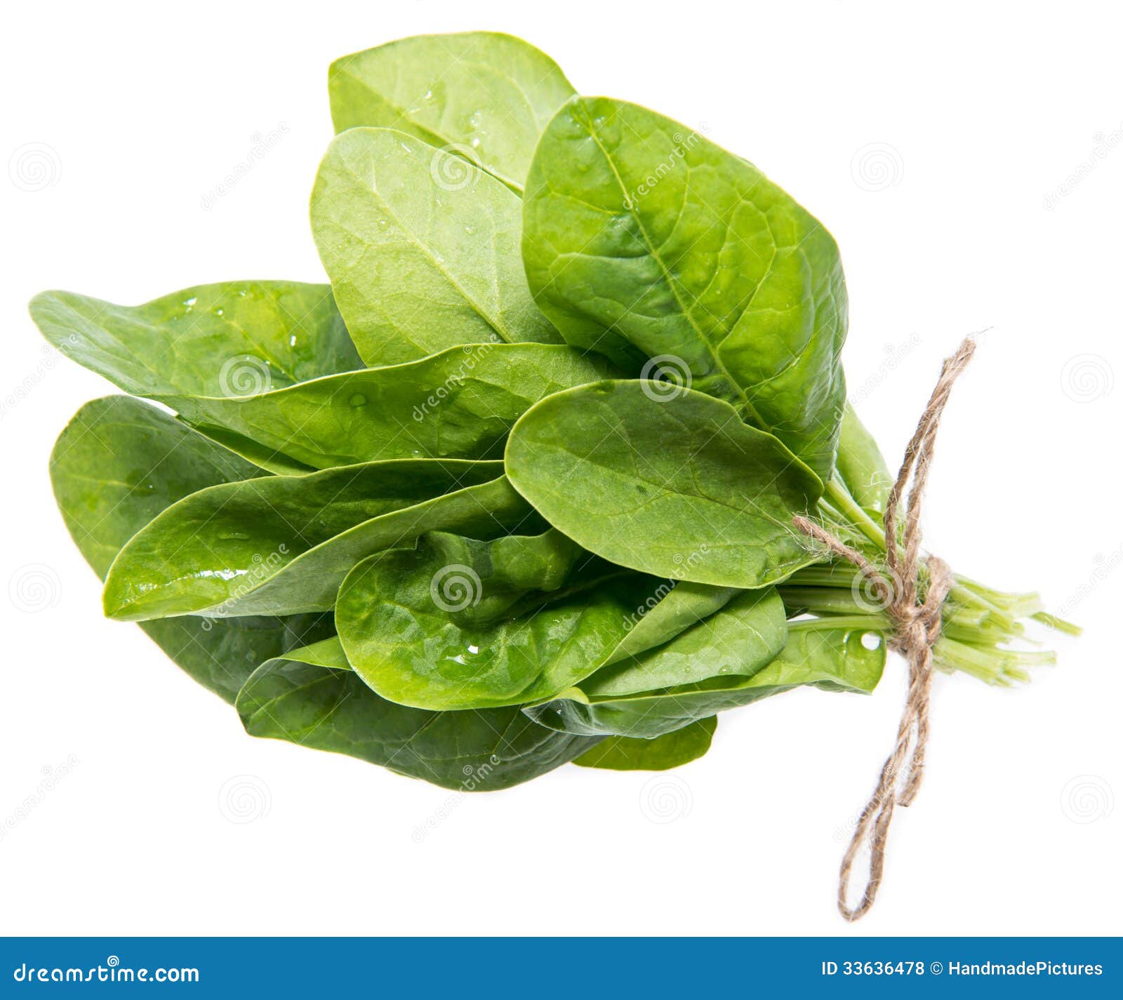 Porción De Espinaca En Blanco Foto de archivo - Imagen de hojas, crudo ...