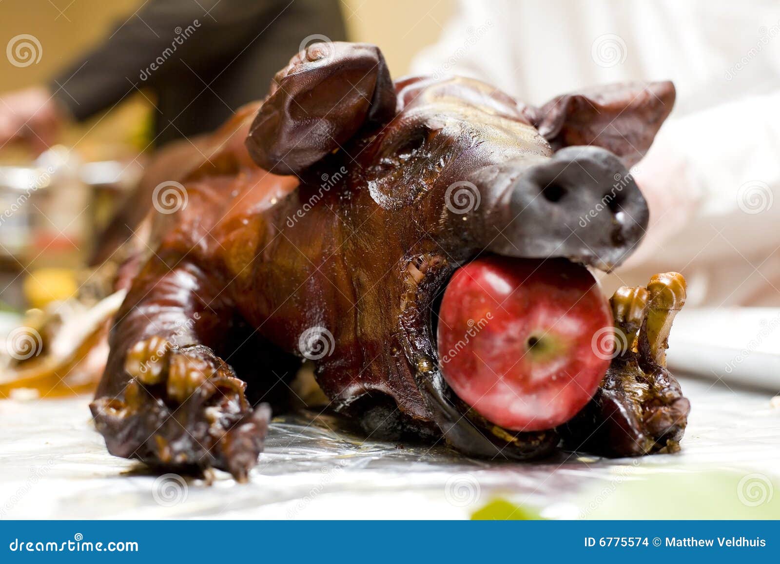 Porco Roasted foto de stock. Imagem de animal, fazenda - 6775574