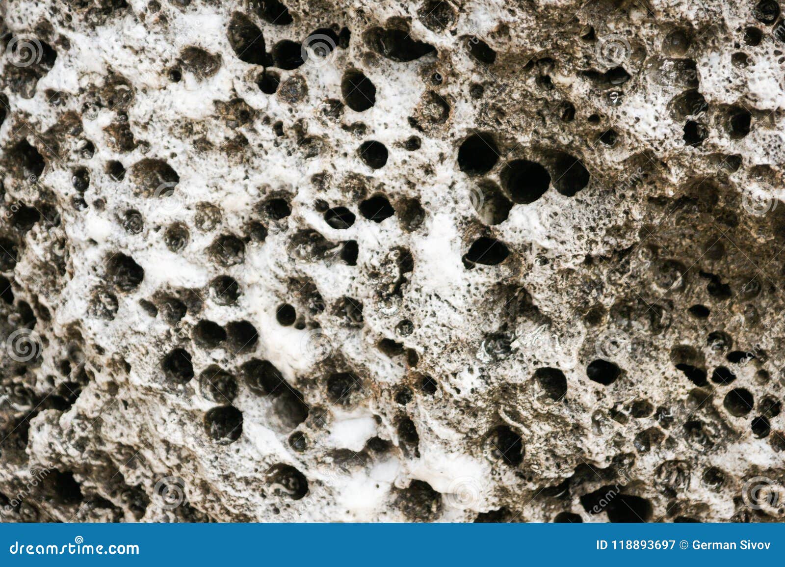 Pores in the stone. stock image. Image of sponge, limestone - 118893697