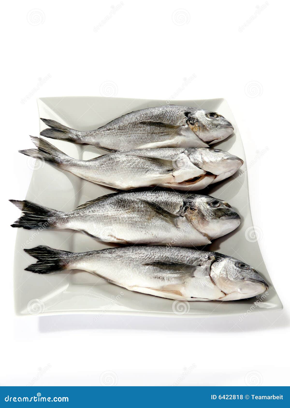 Porgy stock photo. Image of protein, food, dinner, plate - 6422818