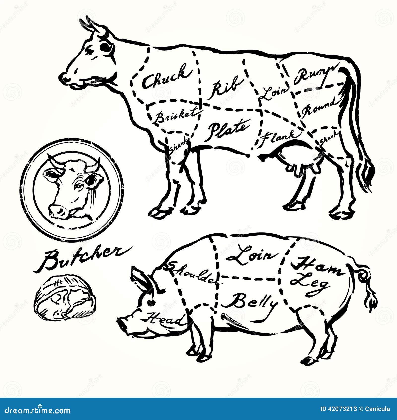 Pork and beef cuts stock vector. Illustration of calf - 42073213