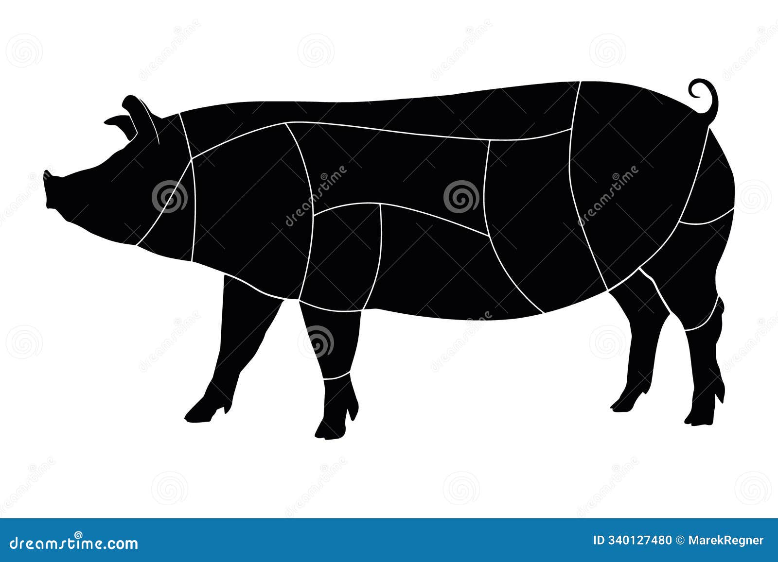Pork Carcass - Pork Cuts Diagram Stock Vector - Illustration of cuts ...