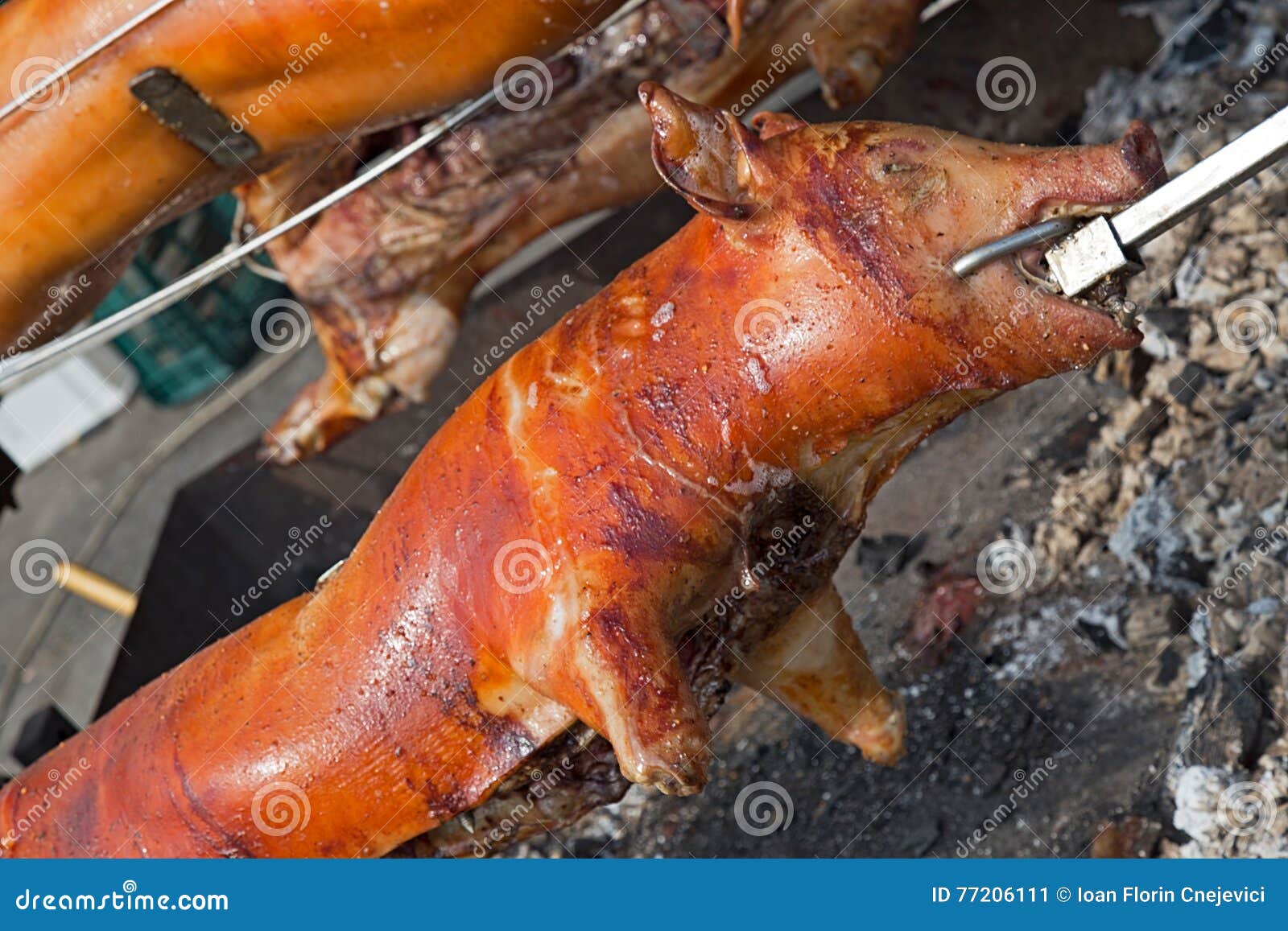 Pork Carcass Roasting on a Rotating Spit Stock Image - Image of meal ...