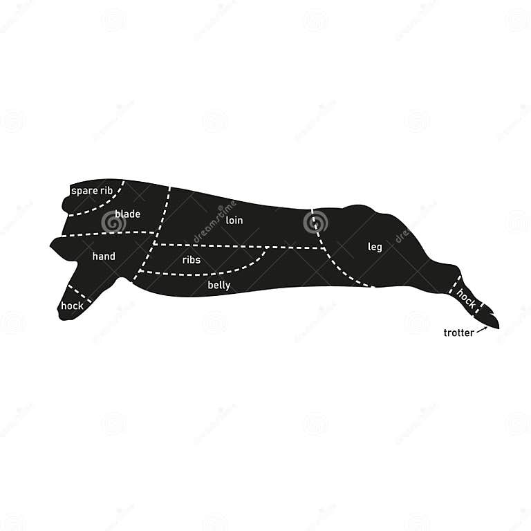 Pork Carcass. Simple Vector Illustration Stock Vector - Illustration of ...