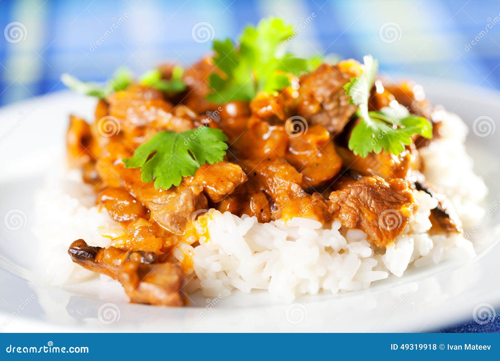Pork curry with rice stock photo. Image of close, indian - 49319918