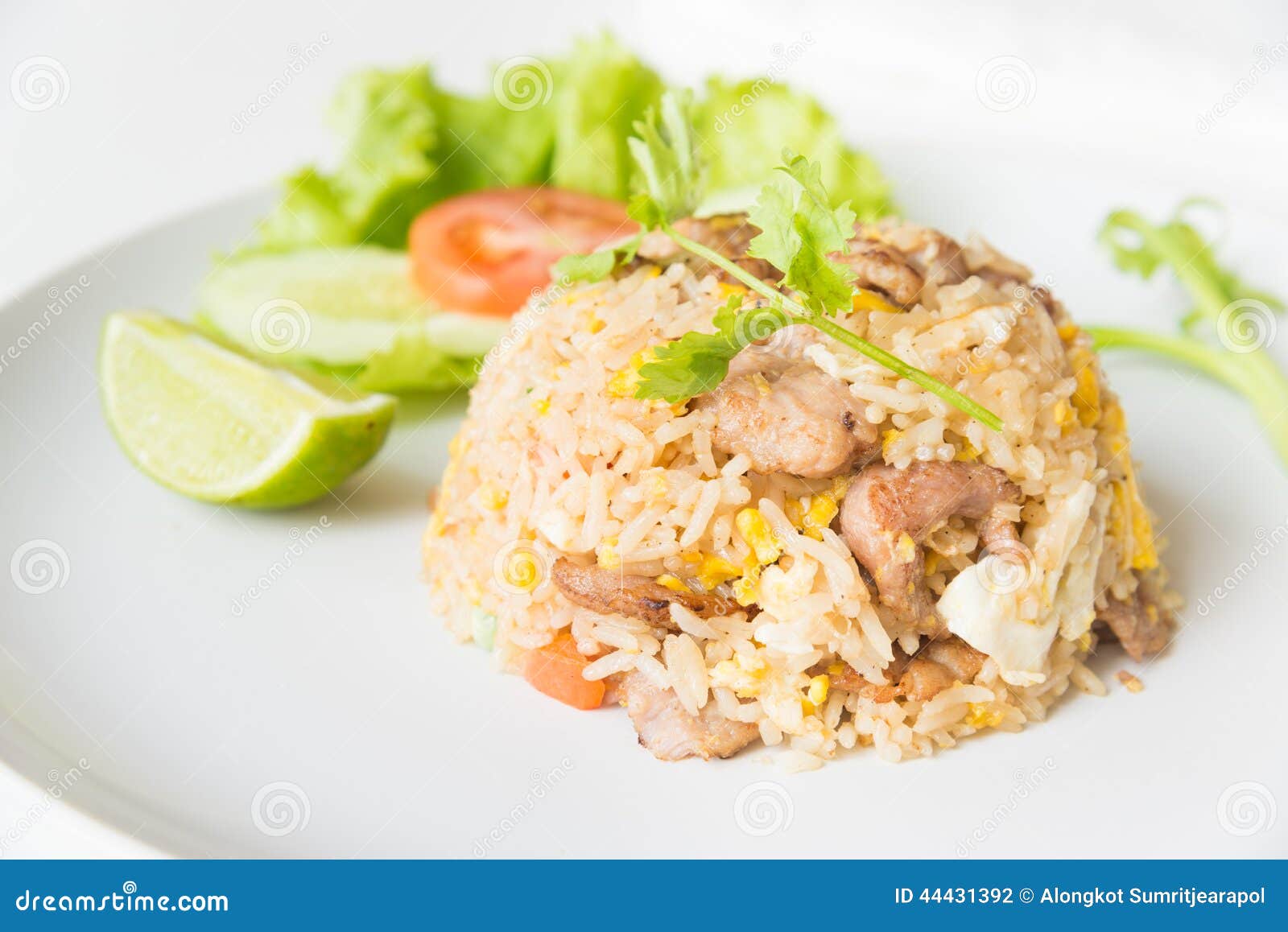 Pork Fried Rice with Egg Thai Style. Stock Photo - Image of chinese ...