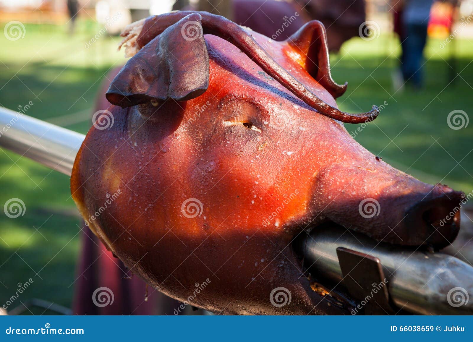 Pork Head Grilled in Open Fire Stock Image - Image of piglet, pieces ...