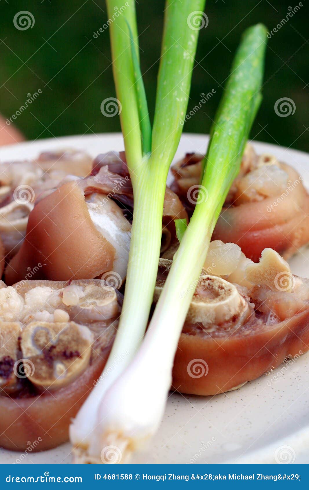Pork meat and spring onion stock photo. Image of bones - 4681588