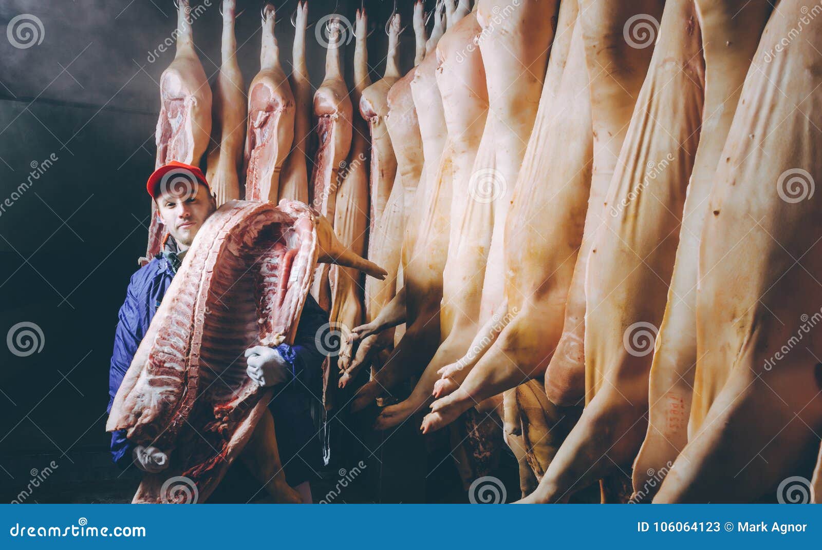 Chopped pig at a factory stock image. Image of indoors - 106064123