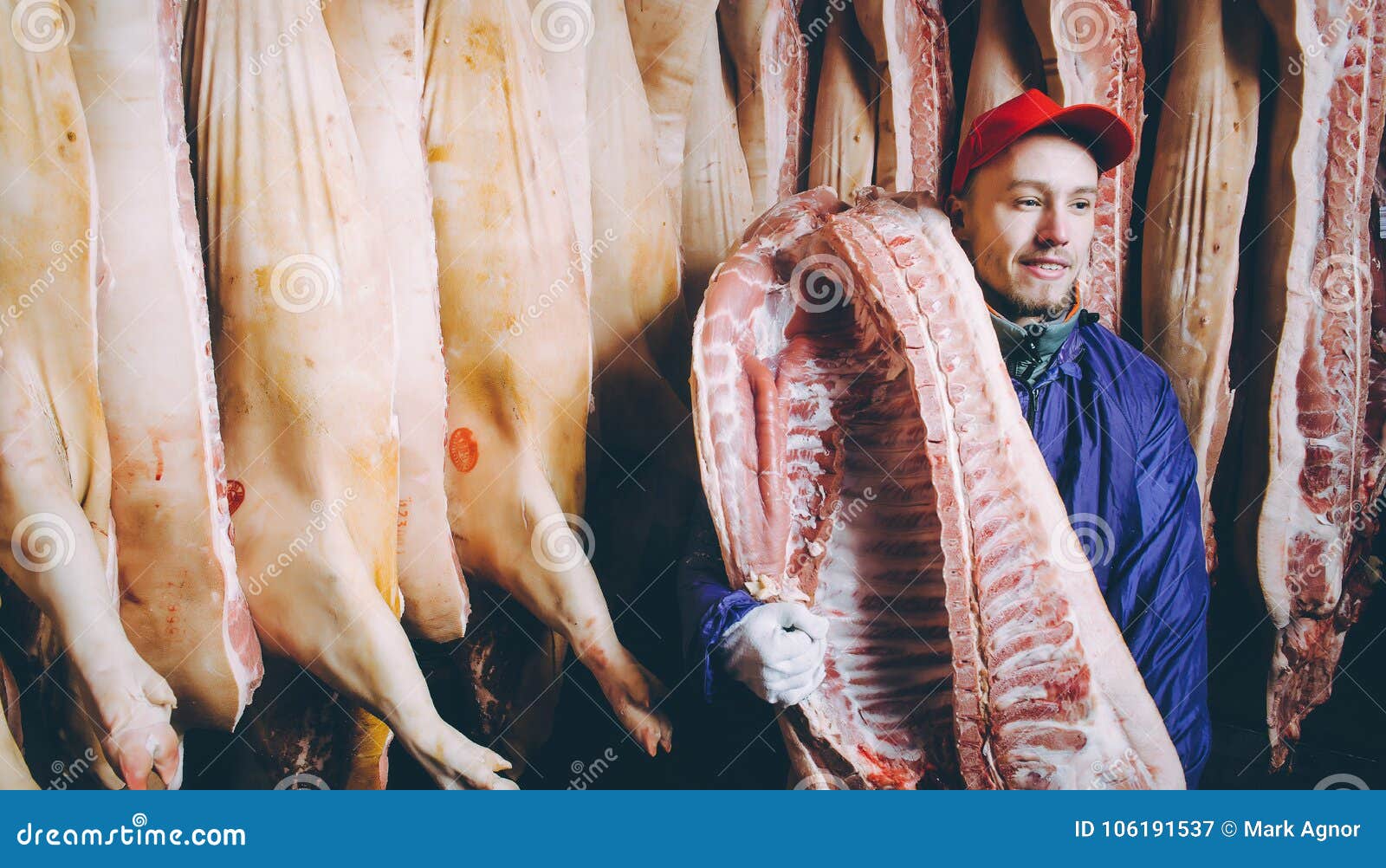 Chopped pig at a factory stock image. Image of industry - 106191537