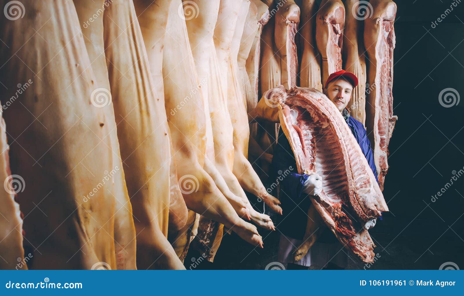Chopped pig at a factory stock image. Image of fresh - 106191961