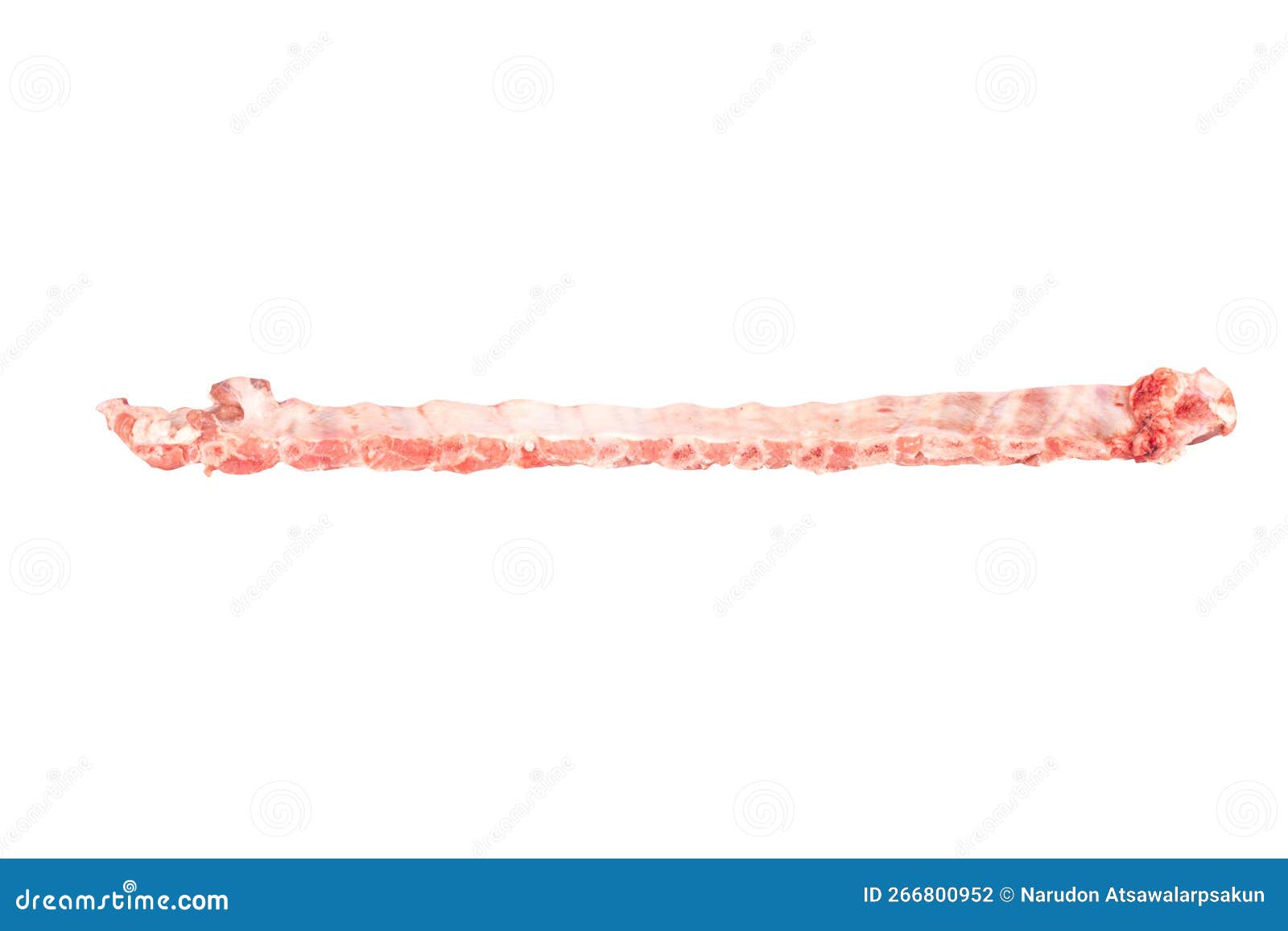 Pork Ribs Bone Isolated on White Background Stock Photo - Image of ...