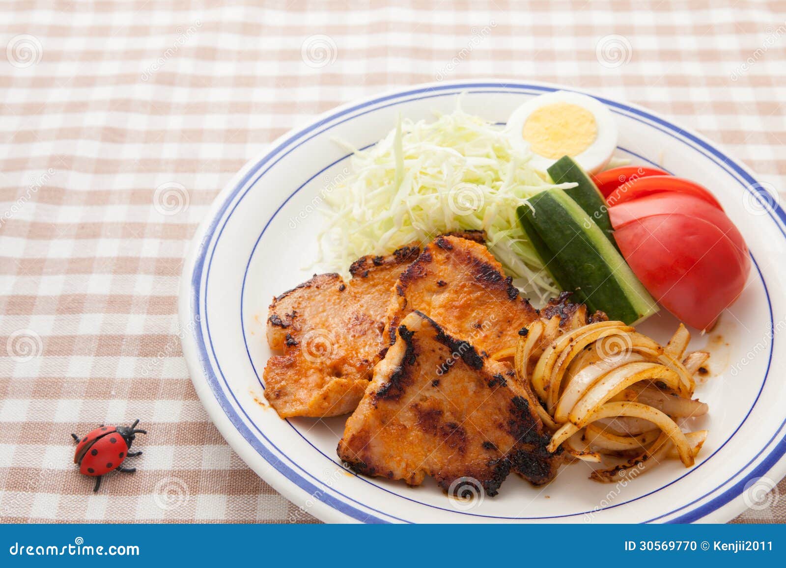 Pork saute stock photo. Image of slice, brown, healthy - 30569770