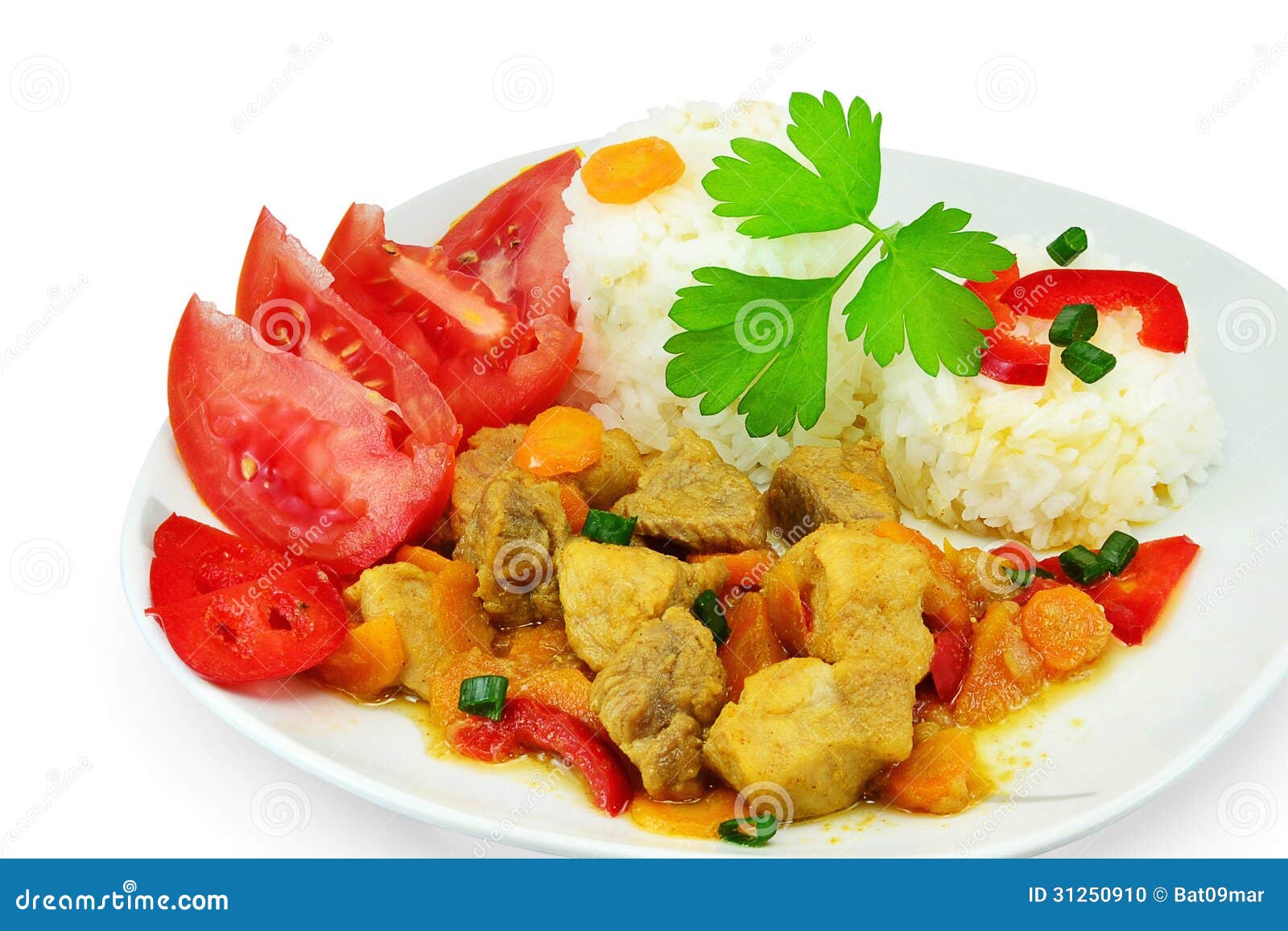 Pork stew with rice stock photo. Image of culinary, food - 31250910