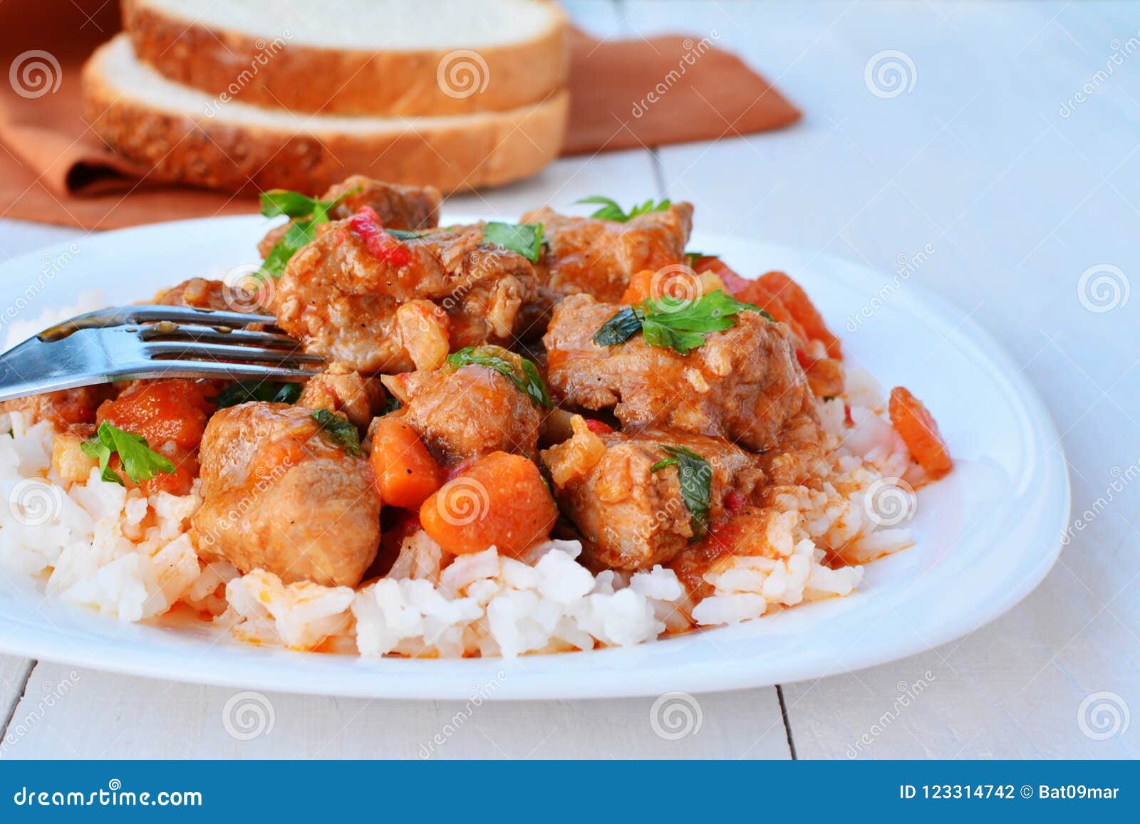 Pork stew with white rice stock photo. Image of meal - 123314742