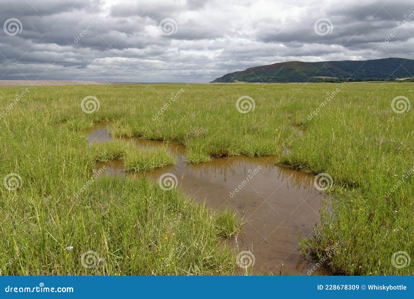 Porlock Marsh stock image. Image of moors, overcast - 228678309