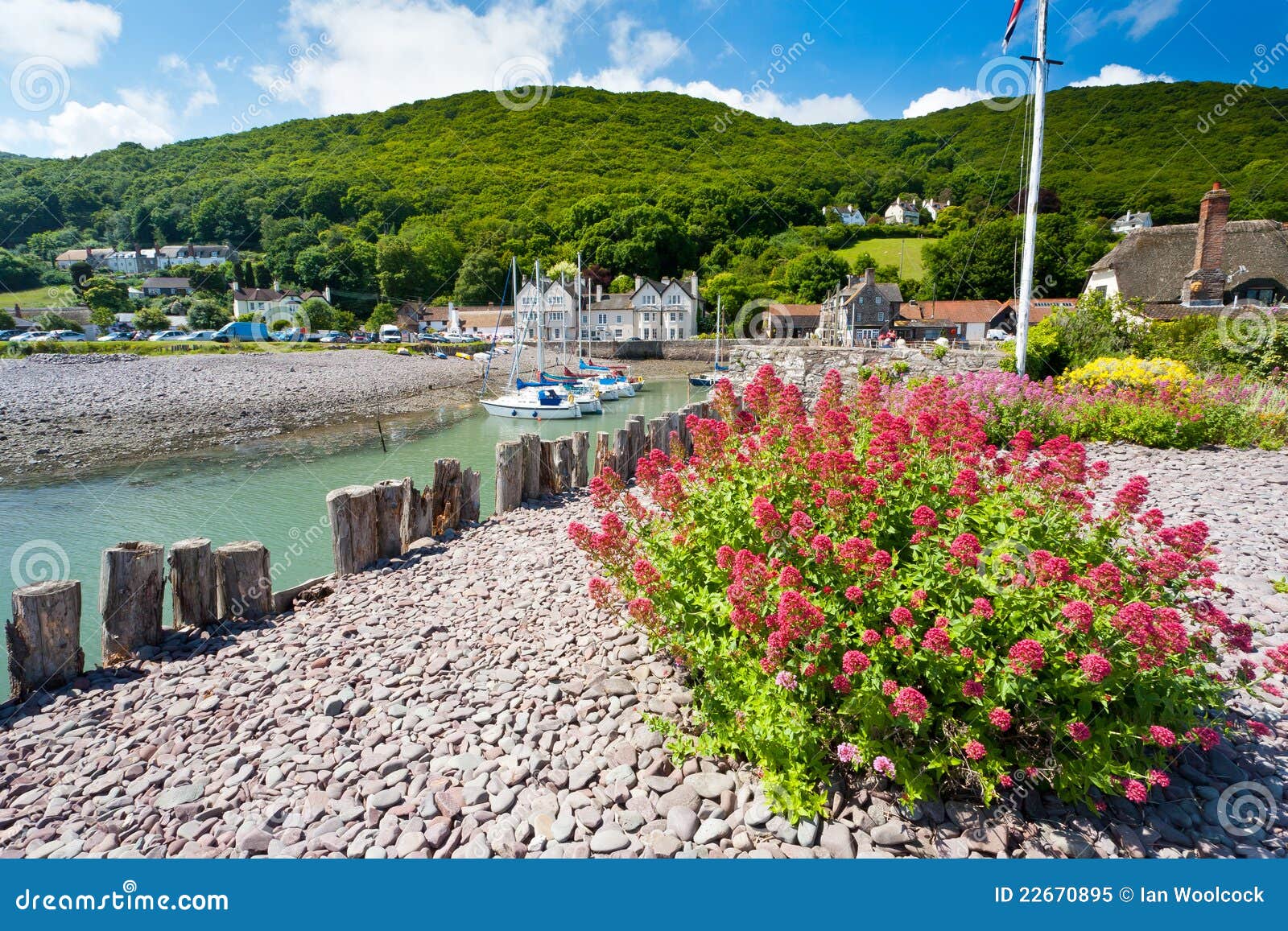 Porlock Weir stock image. Image of shine, harbour, sunny - 22670895