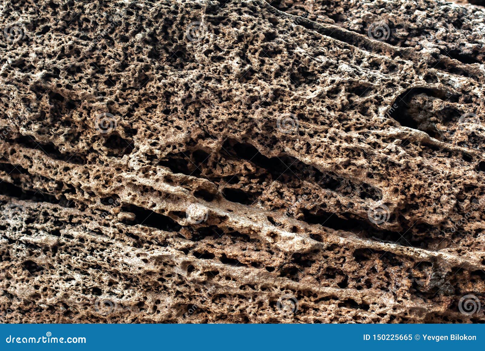 Porous Mineral From Volcanic Rock Stock Image | CartoonDealer.com #78147925