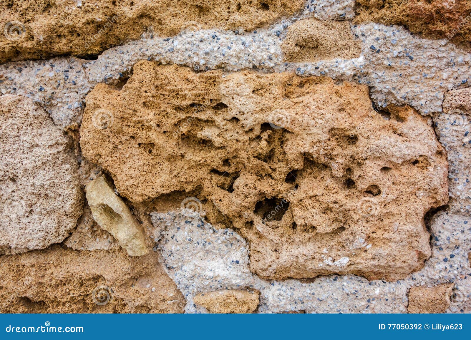 Porous natural stone. stock photo. Image of texture, natural - 77050392