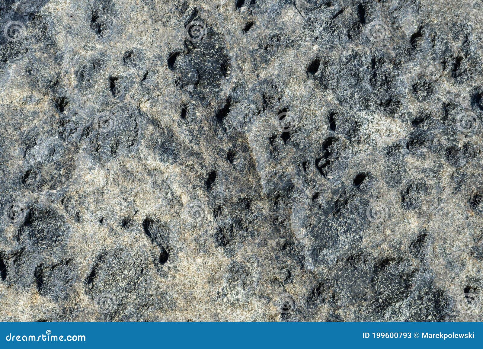 Porous Rock Structure of Dark Basalt Stone Texture Background Stock ...