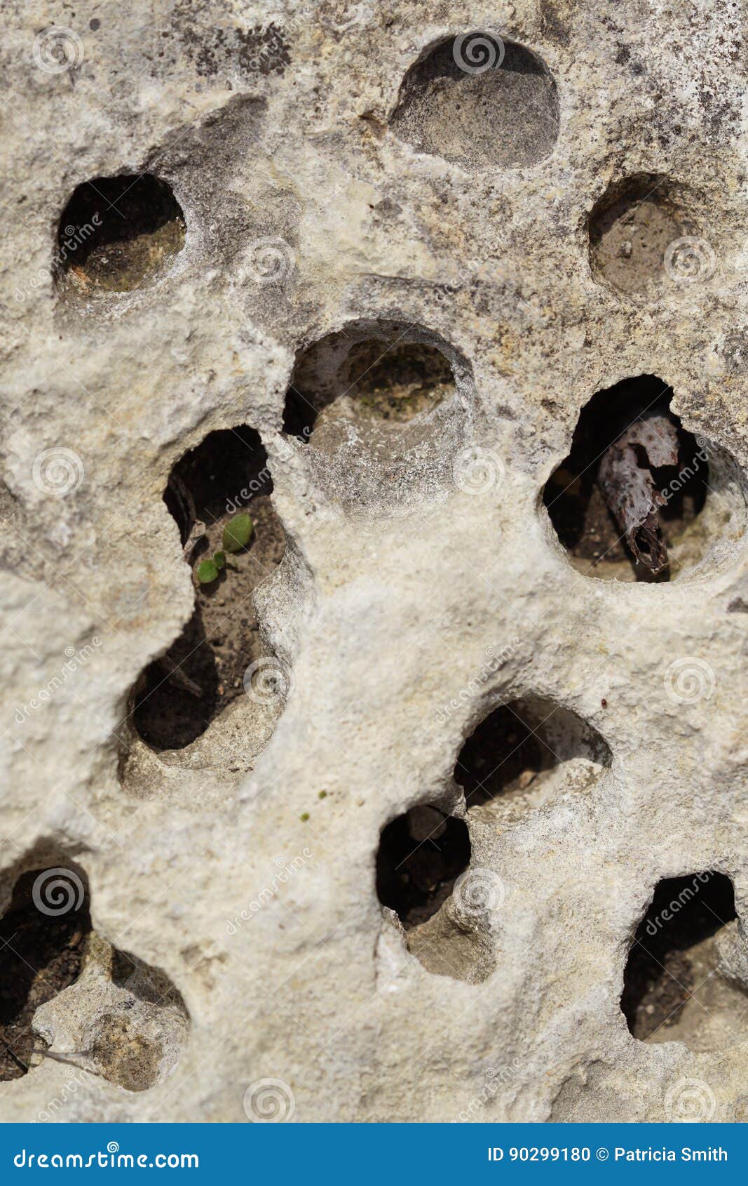Porous Rock Structure Of Dark Basalt Stone Texture Background Royalty ...