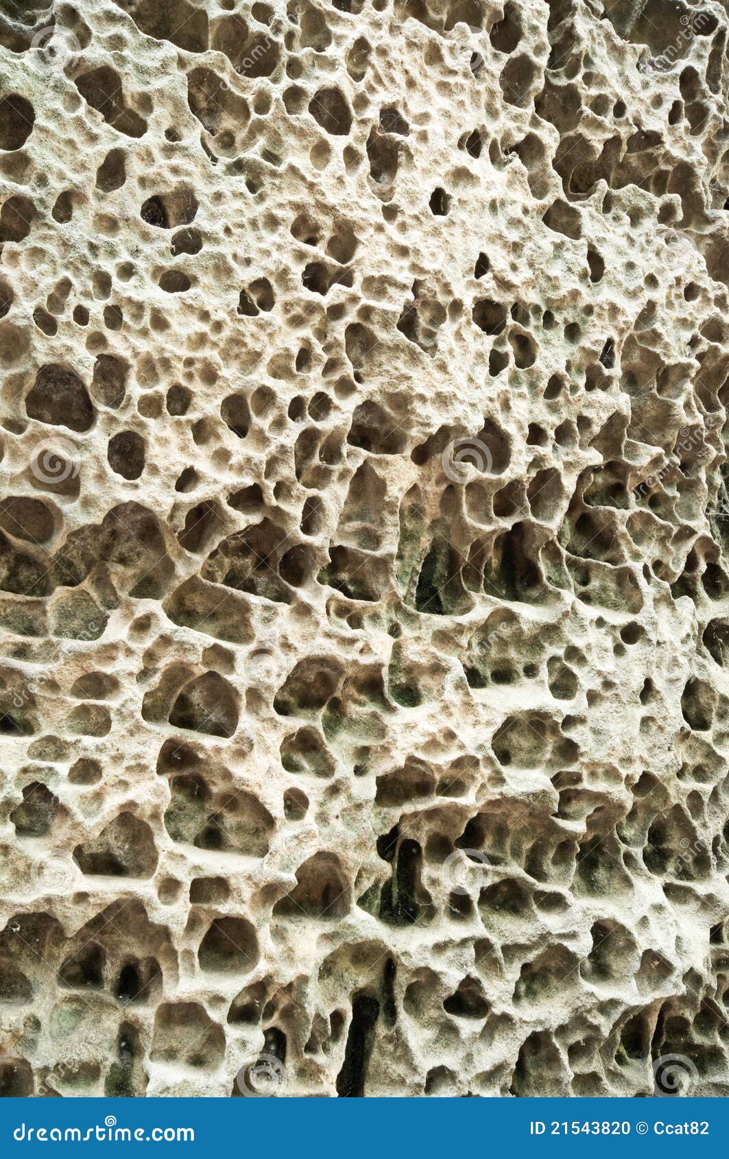 Porous sandstone structure stock photo. Image of detail - 21543820