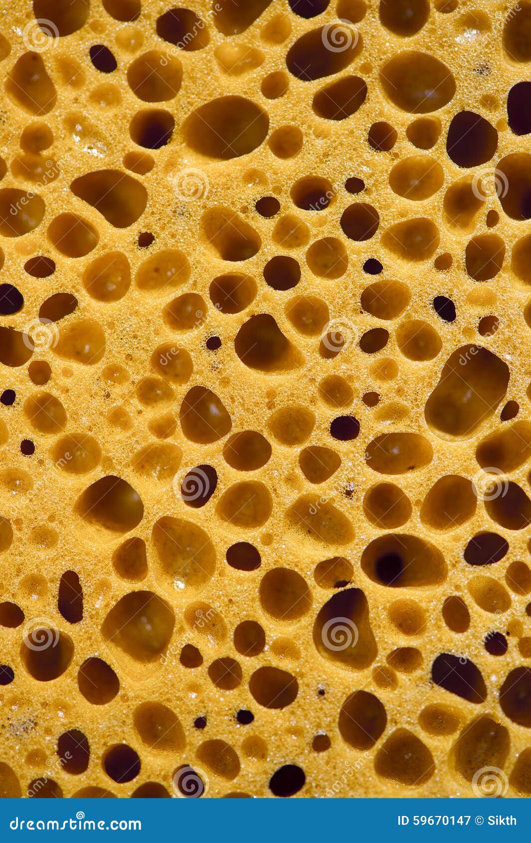 Porous Sponge Macro Texture Stock Image - Image of structure, accessory ...