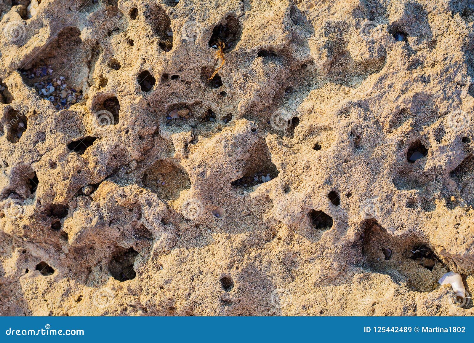 Porous stone stock image. Image of backdrop, macro, closeup - 125442489
