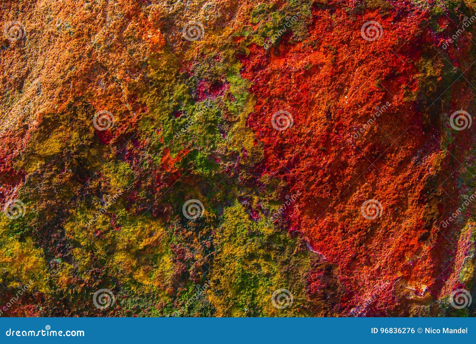 Porphyr texture stock photo. Image of grass, texture - 96836276