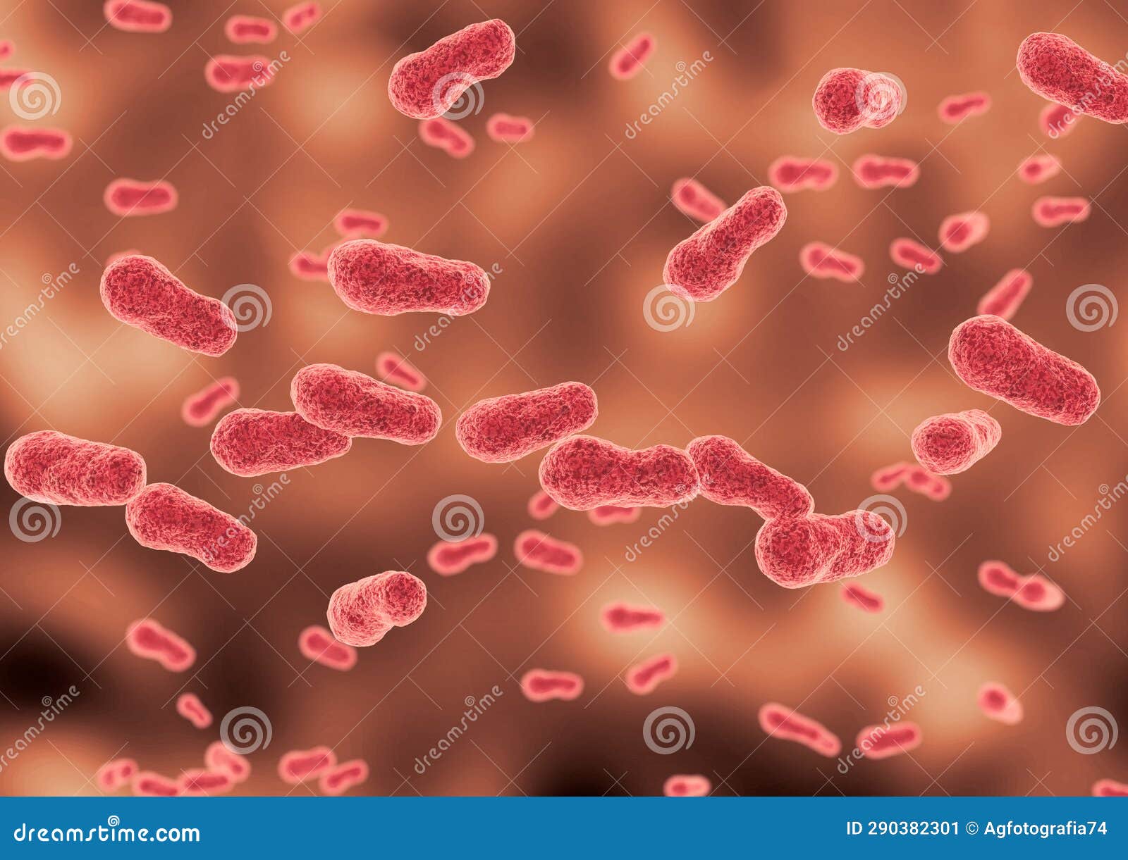 Periodontitis. Porphyromonas Gingivalis Vector Illustration ...