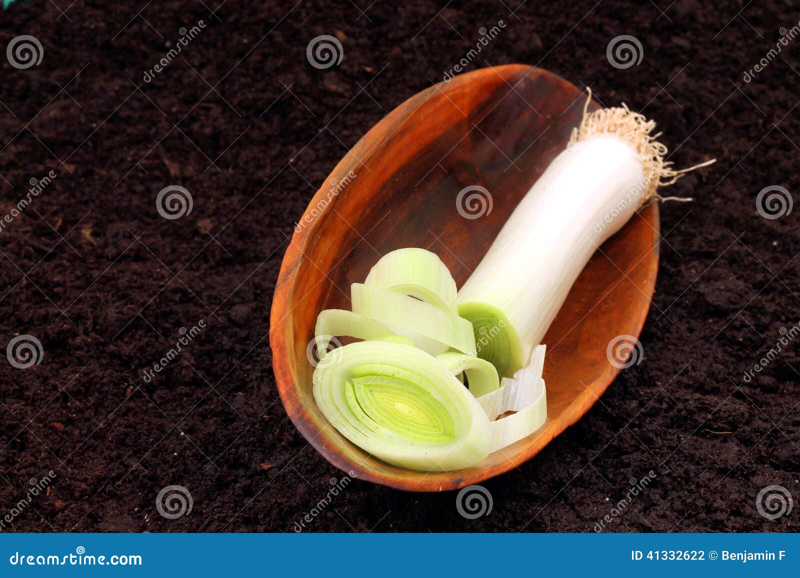 Porre stock photo. Image of delicious, allium, field - 41332622