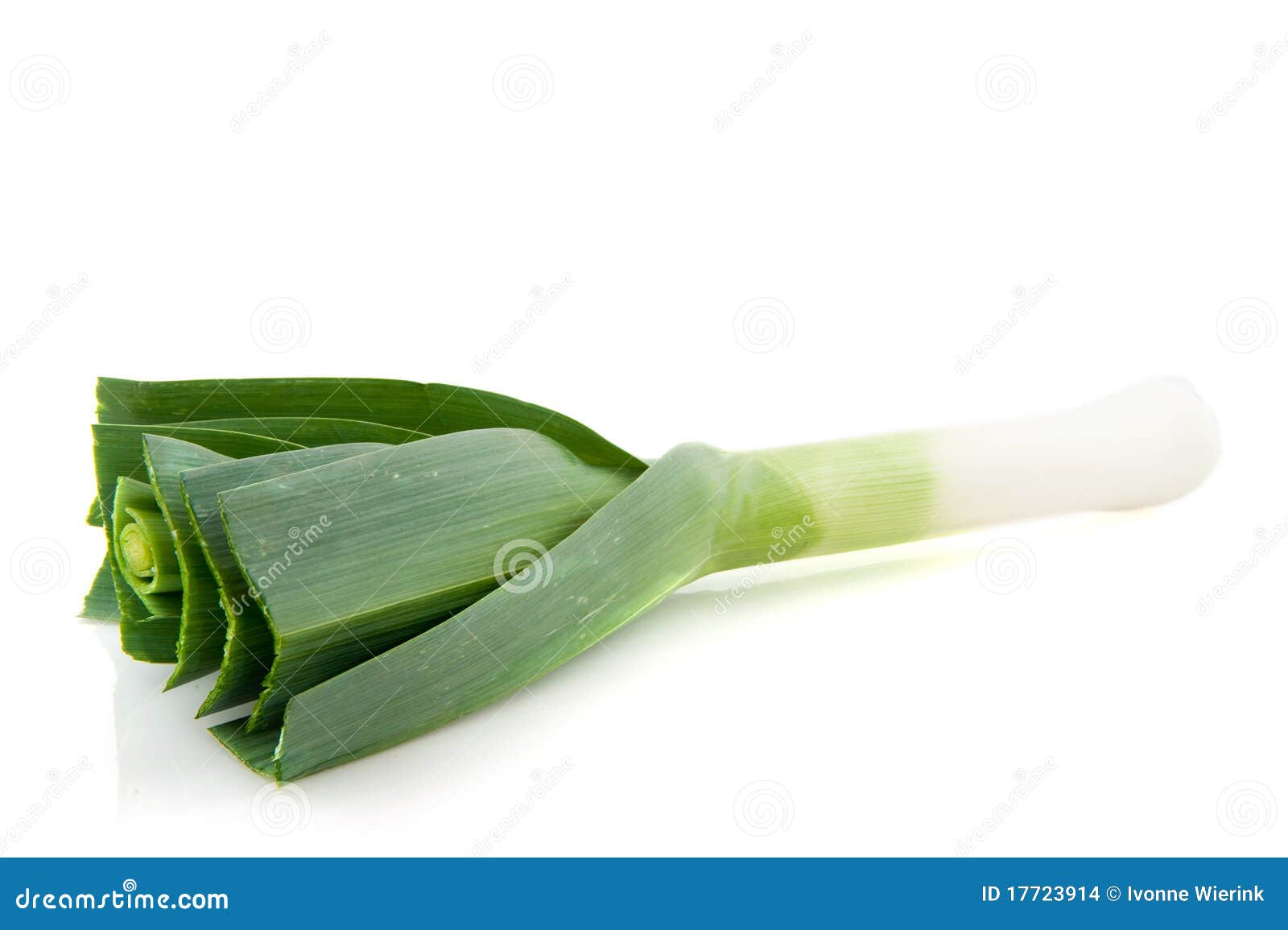 Porro fresco fotografia stock. Immagine di singolo, verdure - 17723914