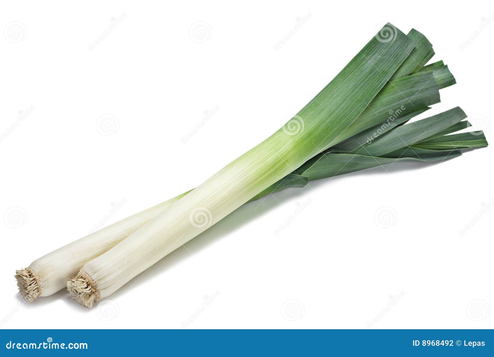 Porro verde fotografia stock. Immagine di verdura, bianco - 8968492