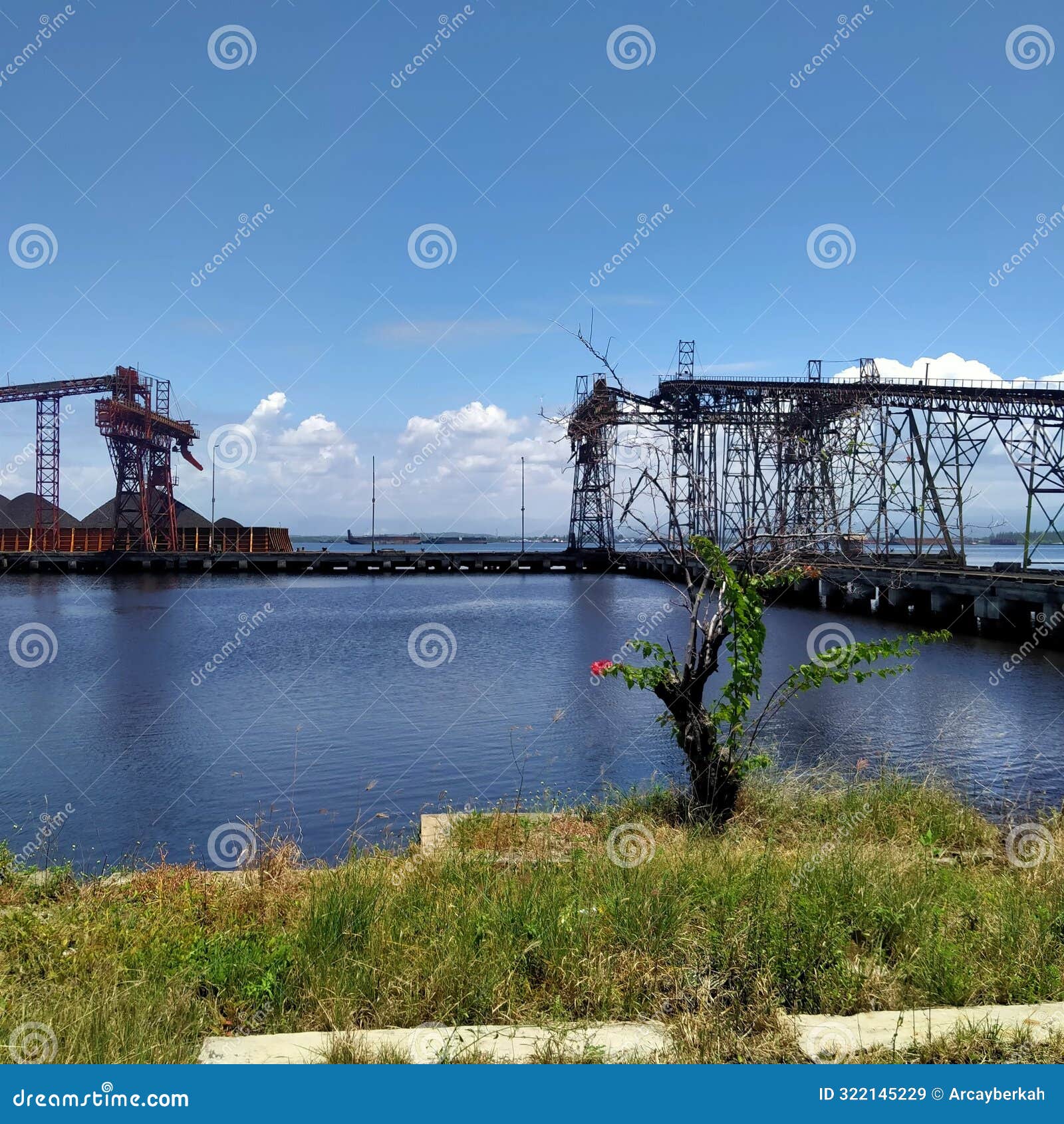 Port Breakbulk Coal Beach Loading Unloading Barge Stock Image - Image ...
