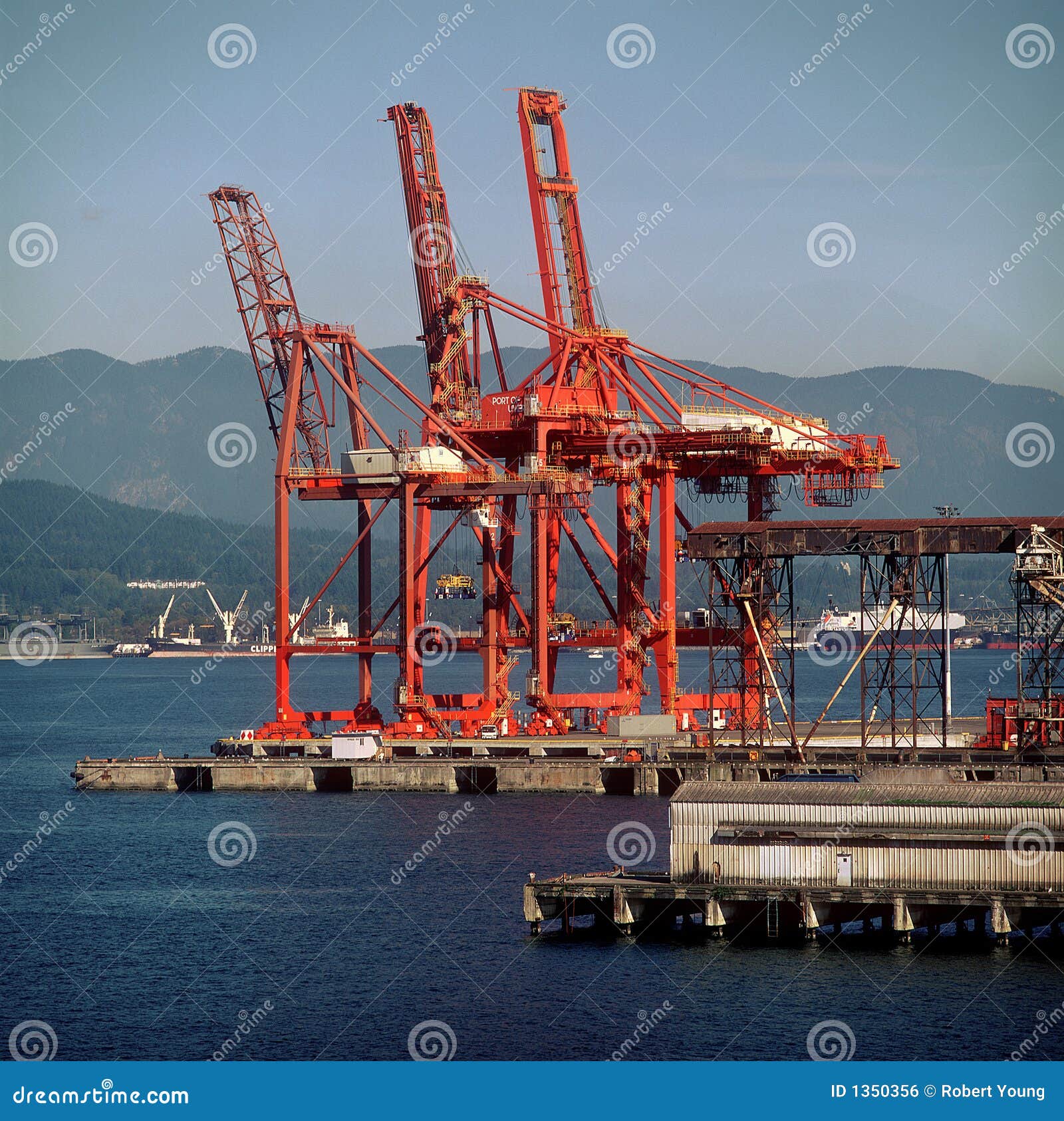 Port cargo cranes stock photo. Image of freight, trade - 1350356