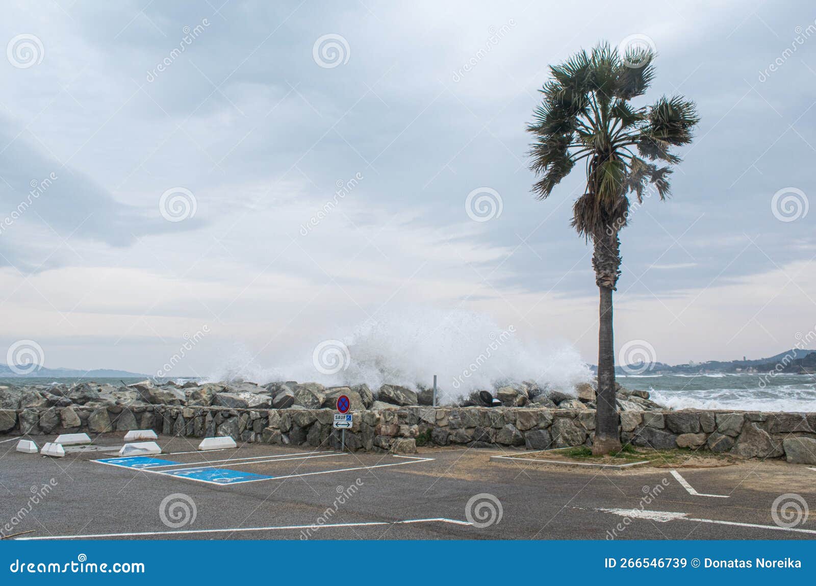 Port Cogolin Beach Shore Rainy Day with Wind Palm Trees Stock Image ...