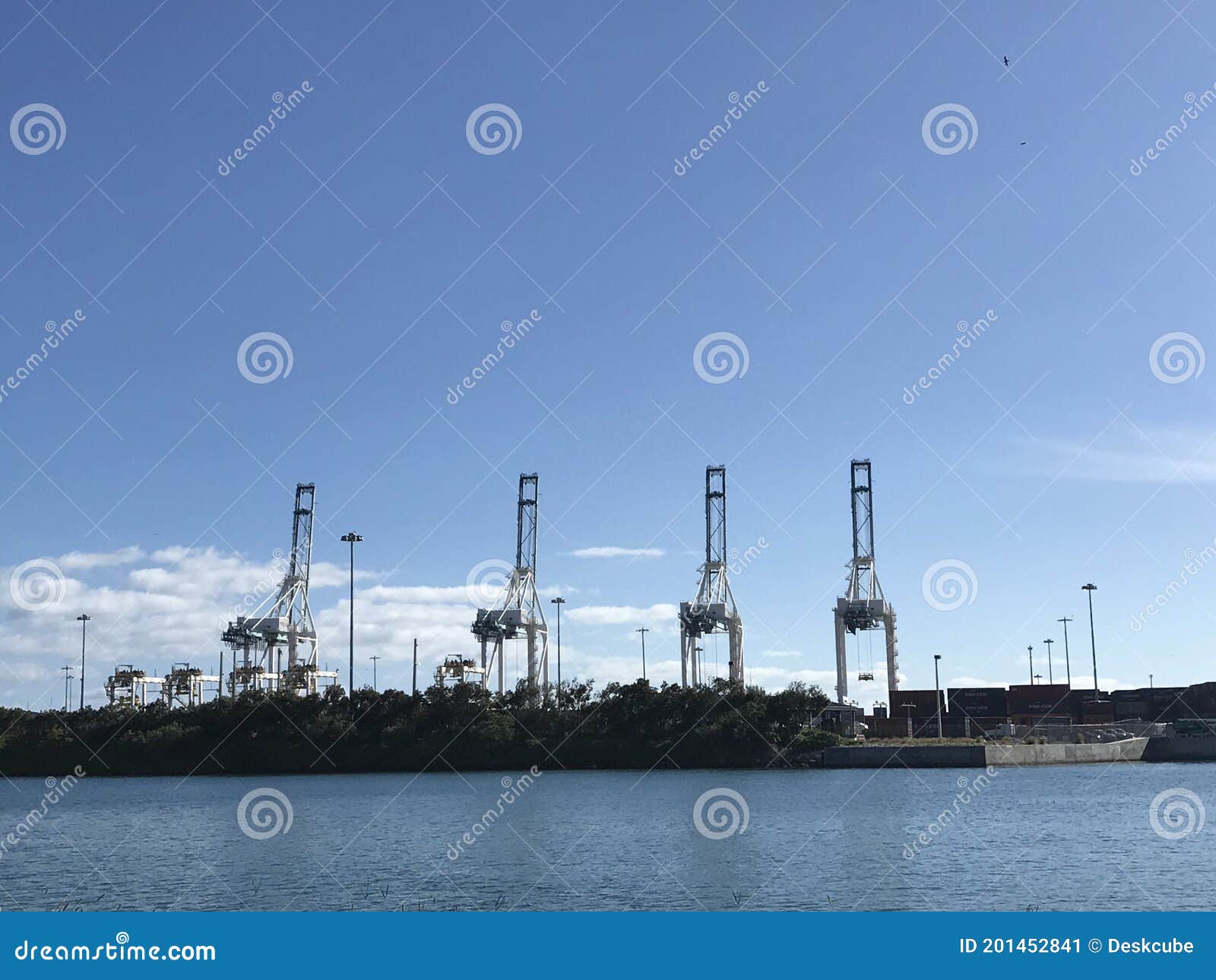 Port of Miami Cargo Terminal Cranes View. Photo Image Stock Image ...