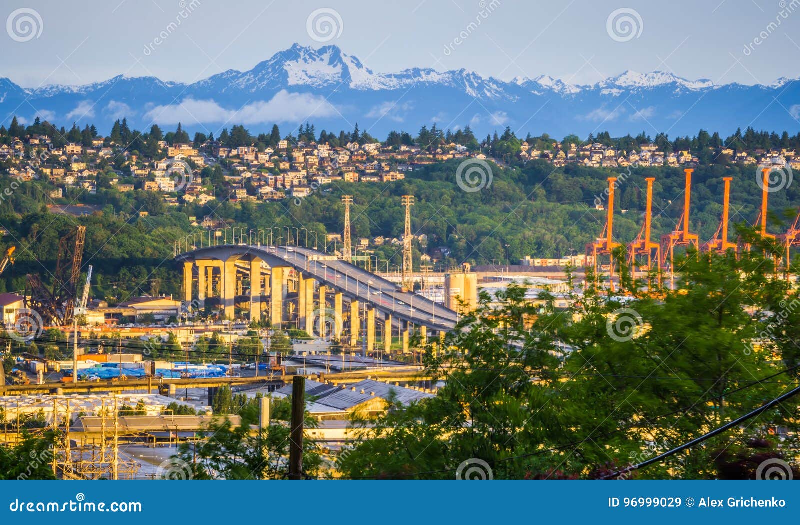The Olympic Mountains In Summer, Viewed From The Hurricane Hill Trail ...