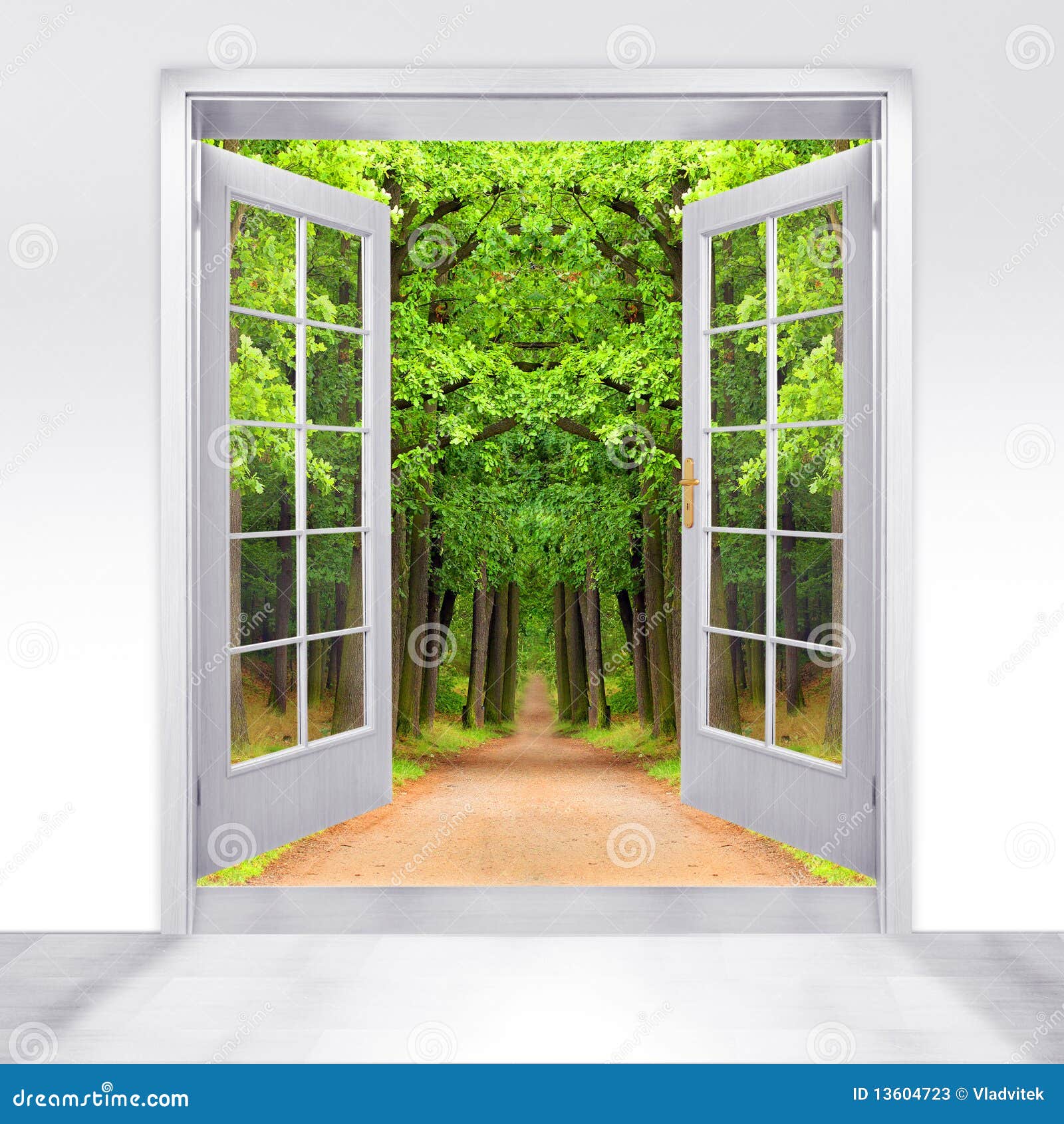 Porta Aberta Ao Amanhecer. Fotos de Stock - Imagem: 13604723