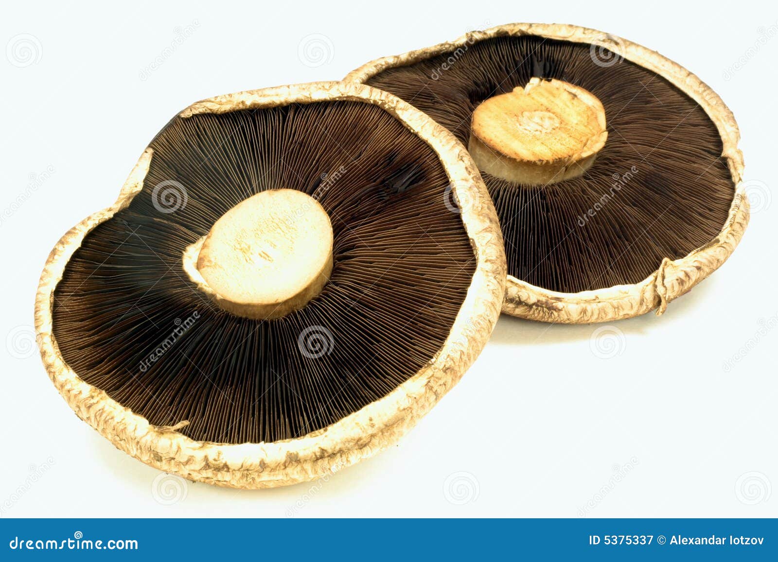 Portabella Mushrooms Back Side View. Stock Image - Image of portabello ...