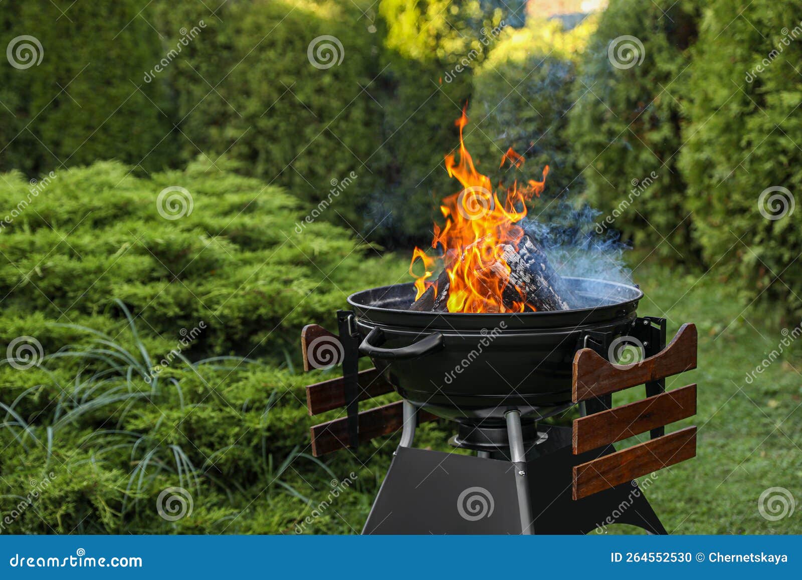 Portable Barbecue Grill with Fire Flames Outdoors. Space for Text Stock ...