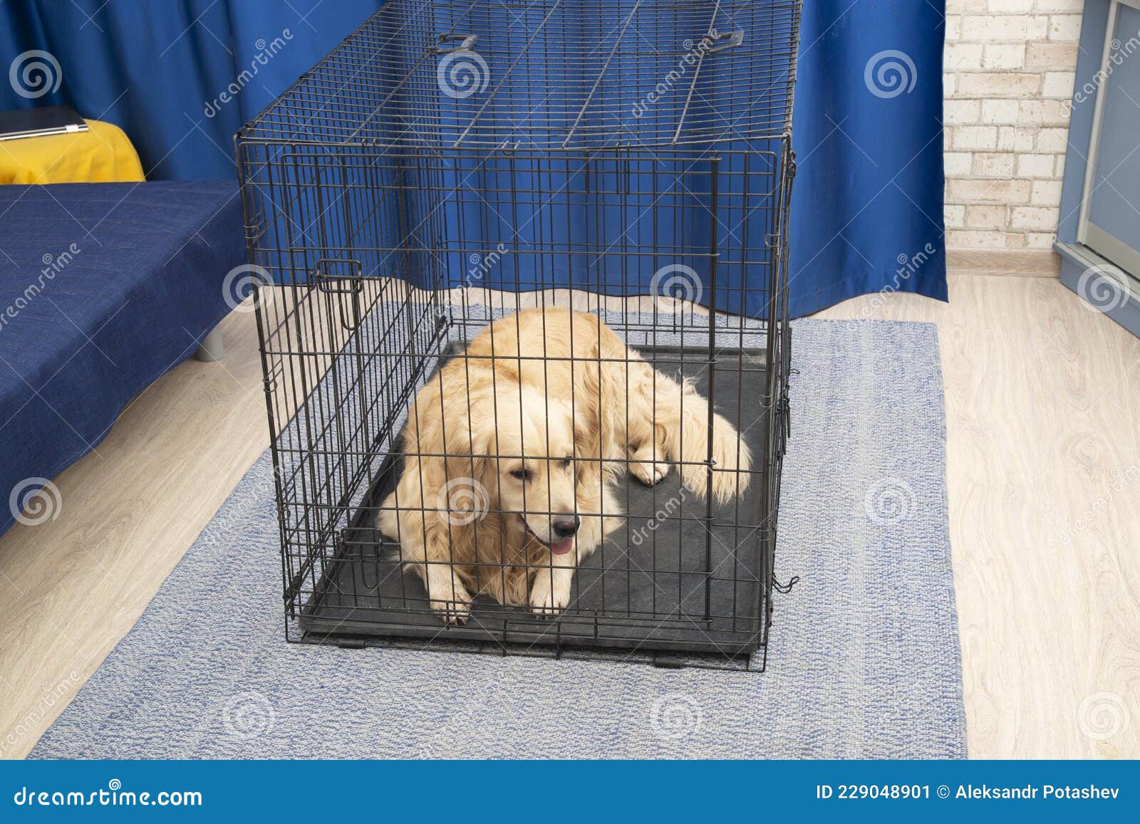 Portable Cage for Medium and Large-sized Dogs Stock Image - Image of ...