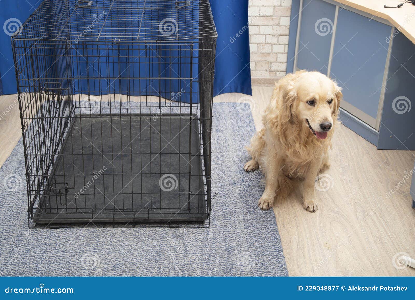 Portable Cage for Medium and Large-sized Dogs Stock Image - Image of ...