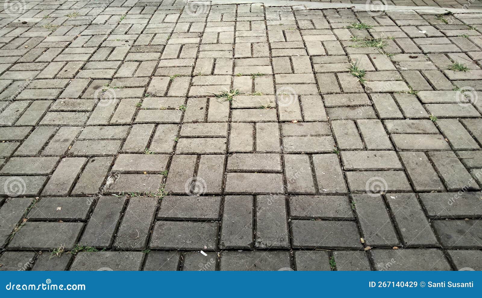 Portait of a Conblock Floor in State High School Yard Stock Image ...